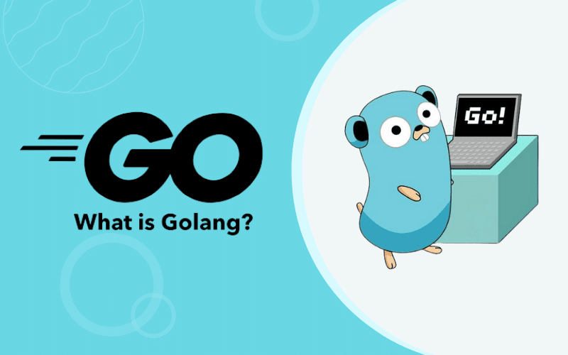 What Is Golang Intro And Use Cases Of Go Programming Language Iglu What Is Golang Intro And Use Cases Of Go Programming Language Iglu